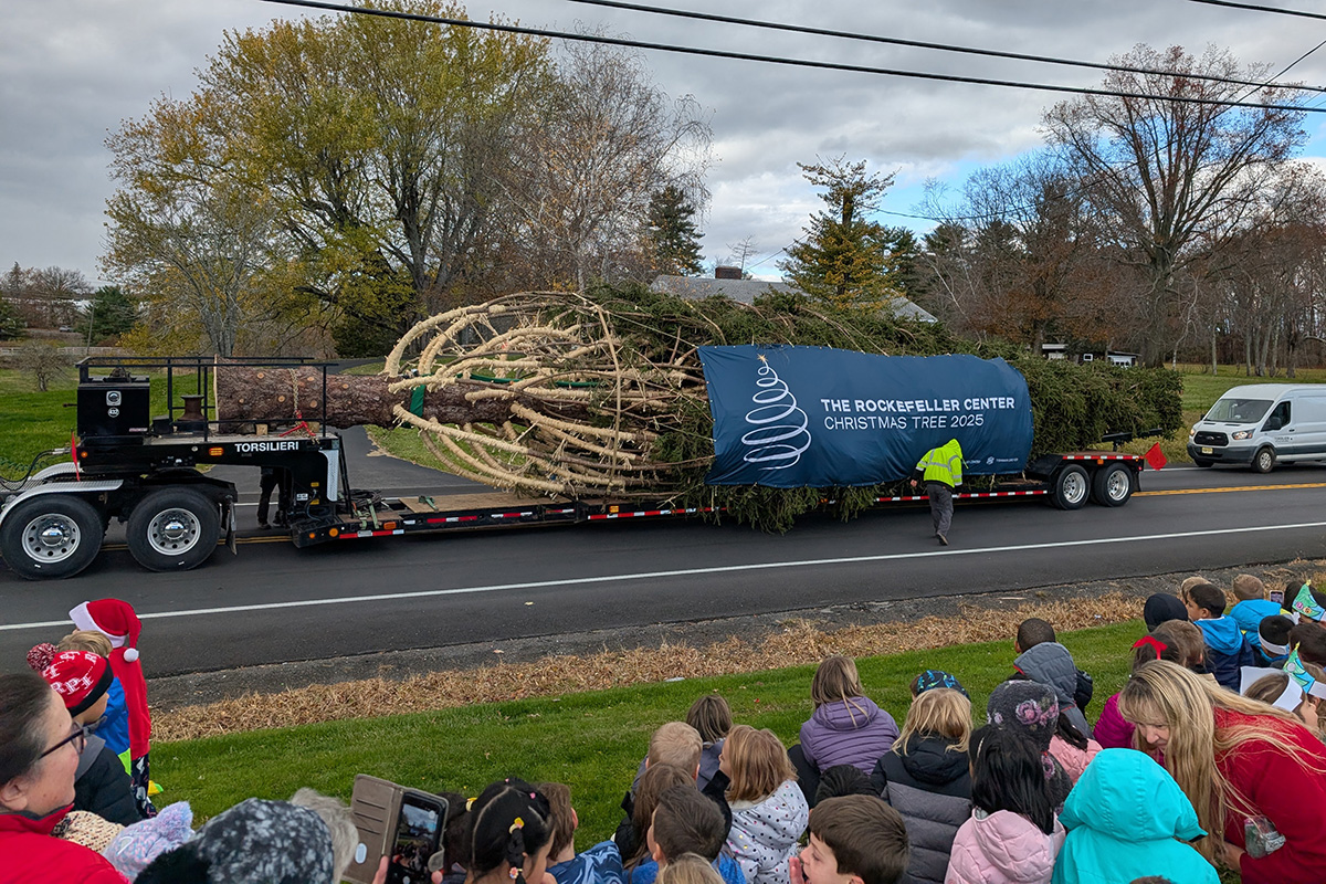 Rockefeller Center Christmas Tree Begins Journey to NYC with ...
